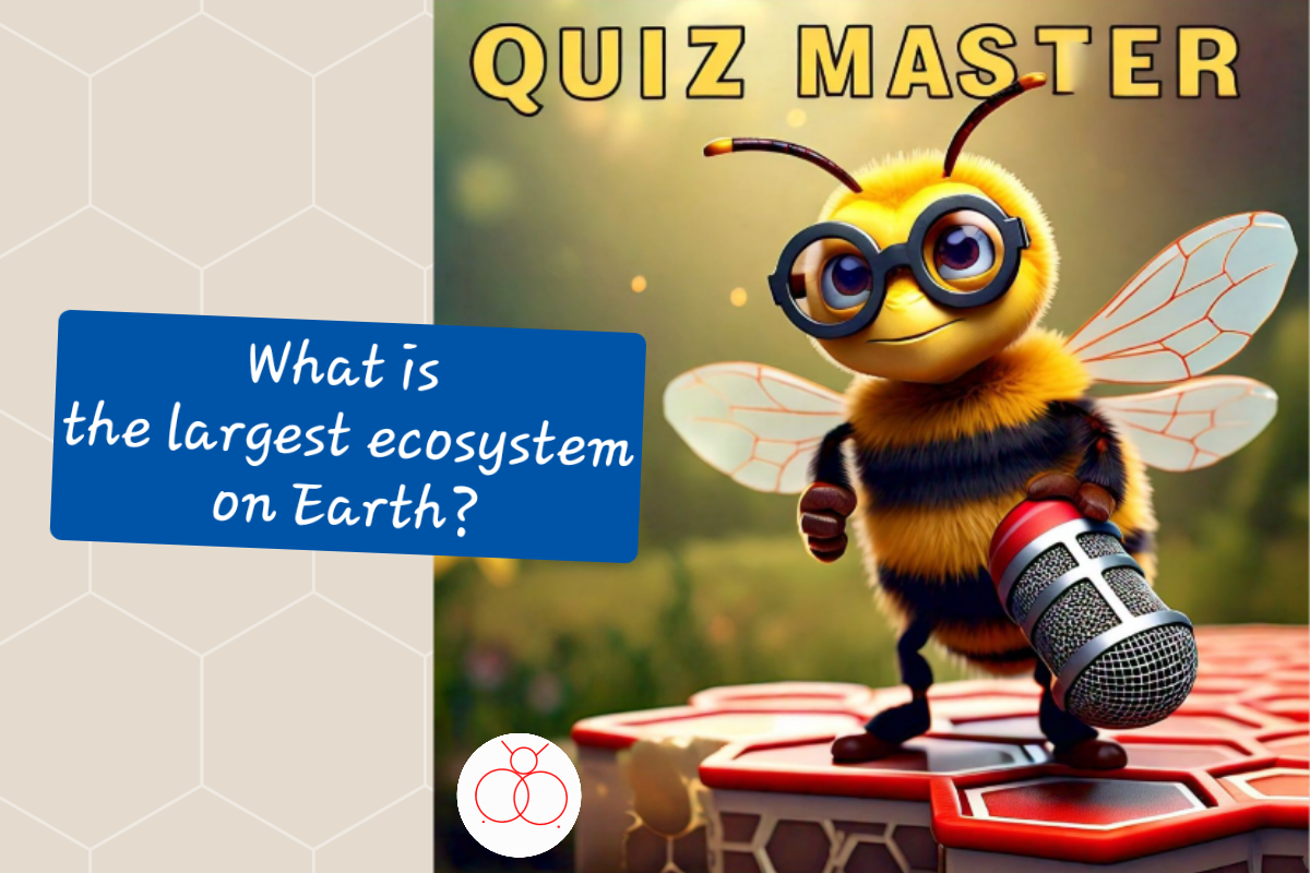 Believe it or not, the title of the largest ecosystem doesn’t go to ...